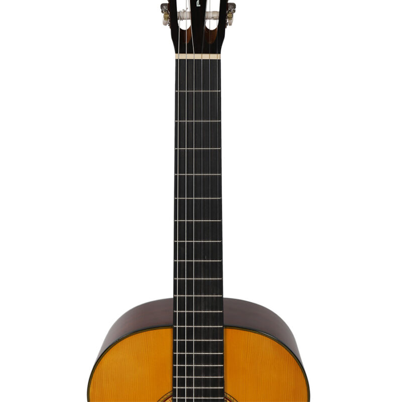 GTRB-AMBER - Epsilon Electronics Inc